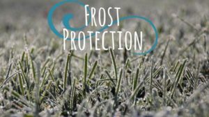 Frost Protection for Your Garden - O’Toole’s Garden Centers