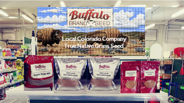 How To Plant Grass Seed with Todd from Buffalo Seed Company - O'Toole's ...